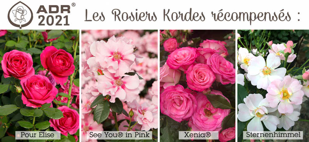 Label ADR : Gage de qualité depuis 1948 | Globe Planter